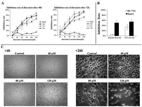 Preferential Inhibition Of Hepatocellular Carcinoma By The Flavonoid Baicalein Through Blocking