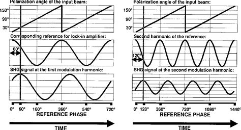 Figure 3 From Polarization Modulated Second Harmonic Generation In Collagen Semantic Scholar