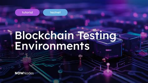Testnets Explained Guide To Blockchain Testing Environments