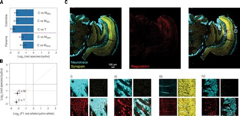 adaptive introgression of a visual preference gene science
