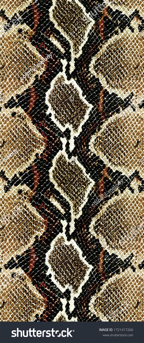 Python Skin Snake Pattern Animal Skin Stock Illustration 1721417266