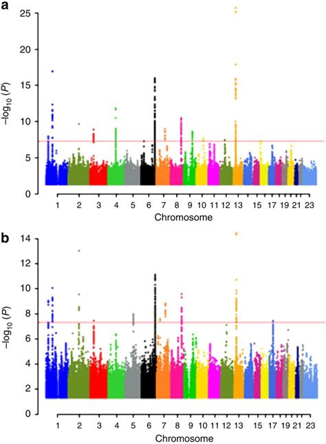 Sequence Variants In The Ptch1 Gene Associate With Spine Bone Mineral Density And Osteoporotic