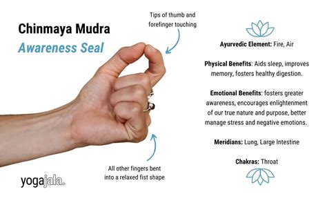 Chinmaya Mudra Benefits Meaning And Steps To Do It 46 Off