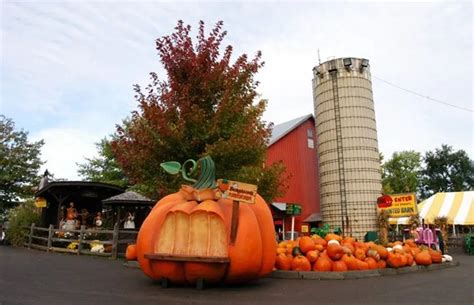 Bengtsons Pumpkin Farm And Fall Fest A Must Visit Destination