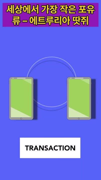 세상에서 가장 작은 포유류 Youtube