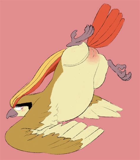 Pidgeot
