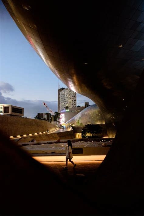 10 개의 최고의 Ddp 사진 · 100 무료 다운로드 · Pexels 스톡 사진