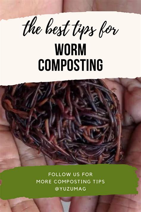 10 Worm Composting Ideas Worm Composting Vermicomposting Worm Bin