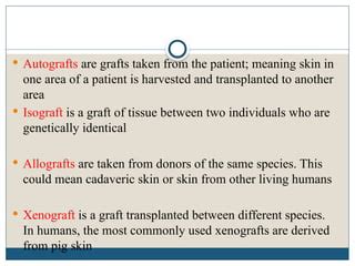 Skin Grafting Anatomy Stages Types Pptx
