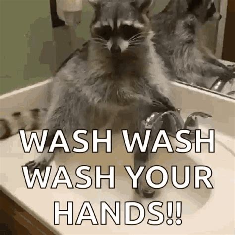 Germaphobe Wash Your Hands  Germaphobe Wash Your Hands Disinfect