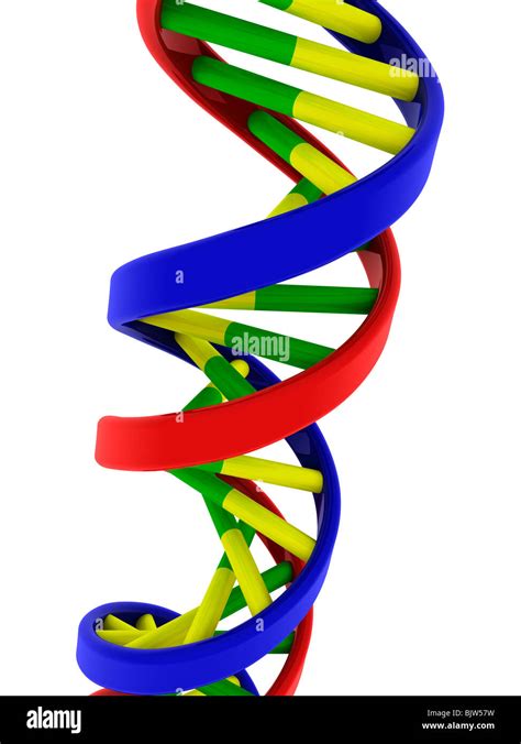 Dna Double Helix Structure