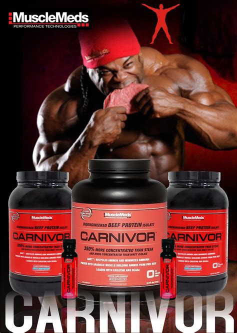 Carnivor Mass Beef Protein Mass Gainer I Free Shipping Australia Wide