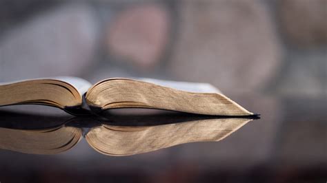 Цікаві факти про 7 смертних гріхів