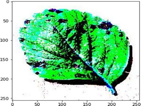 14 Pre Processed Image 4 Cnn Model The Loaded Picture Data Set Needs Download Scientific