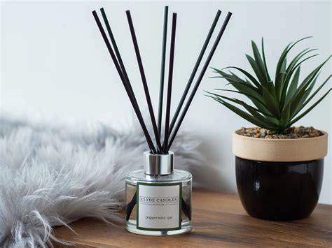 How To Use Diffuser Sticks At Patrick Lakes Blog