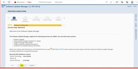 Generating The System Info File For Abap And Java Sap Community