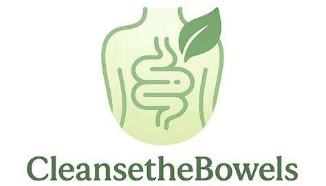 How Long Does It Take To Clean Out Your Bowels Gut Cleanse Timeline Explained