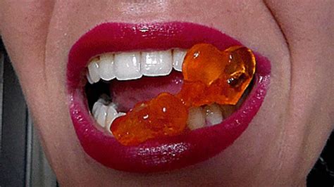 Bite Gammy Bears Tear A Teddy Bear Avi Miss Love