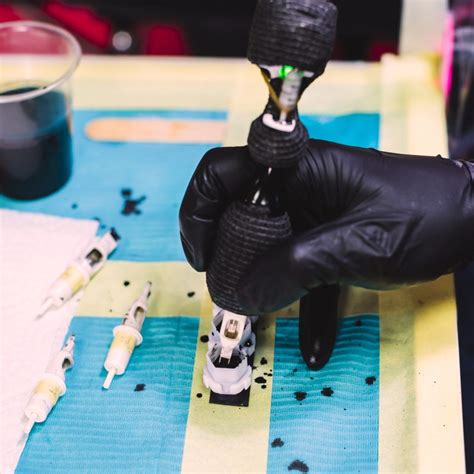 Tattoo Aftercare San Diego Coastal Care Tips For Fresh Ink