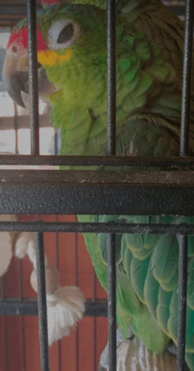 U Tcpackfrequency ・ Popular Pics ・ Viewer For Reddit