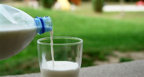 Leche Contraindicaciones Beneficios Y Tipos