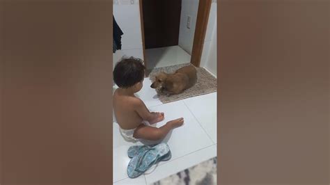 Meu Maninho é Minha Cachorra Youtube
