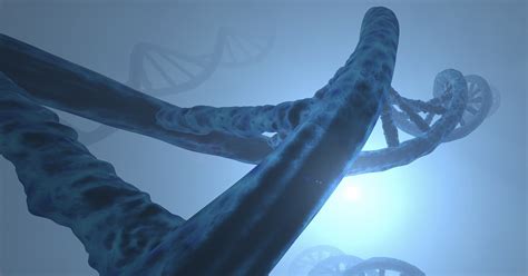 Hierarchical Systems In Biology — Dna Packaging Science And Culture Today