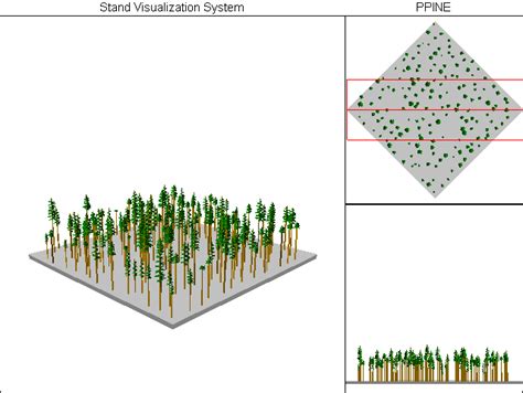 Visualizations Of Forest Structure And Composition Used In The Modeling
