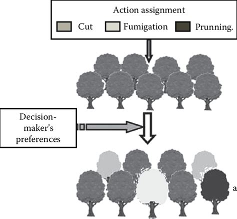 6 Schema Of The Objectives Of The Optimization Process Download