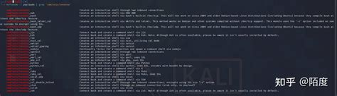 反弹shell总结 知乎