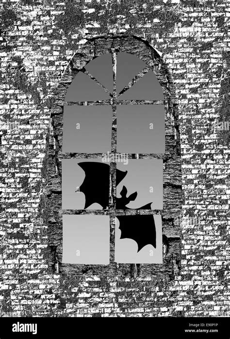 Bat Against Window Stock Photo Alamy