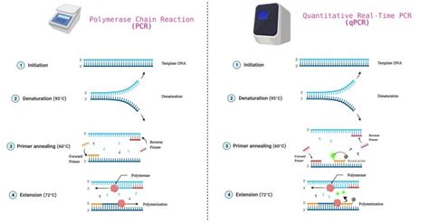 Humam Al Rubaye On Linkedin Geneexpression Qpcr