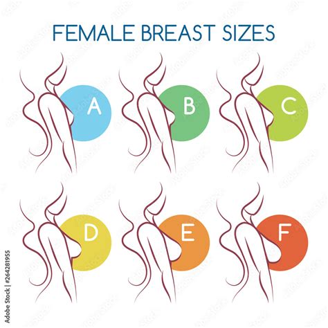 Female Breast Size Comparison Breast Cup Size Chart Nrqua