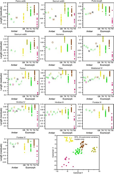 Fig S4 Variation Among The Fossils And How It Corresponds With Download Scientific Diagram