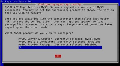 How To Install Mysql 80 Server On Debian 11 Bullseye