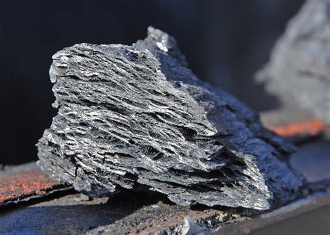 Oslo Event Puts Biochar in Spotlight | Sonoma Ecology Center