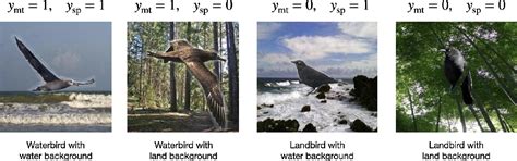 Figure 18 From Removing Spurious Concepts From Neural Network