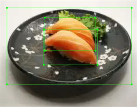 Visualization Of Image Augmentation Techniques Modellist