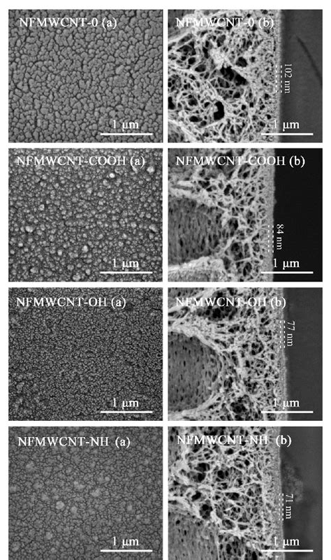 Figure 1 From Functionalized Multiwalled Carbon Nanotubes Mwcnts Semantic Scholar