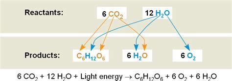 Redox Html Trackingatoms