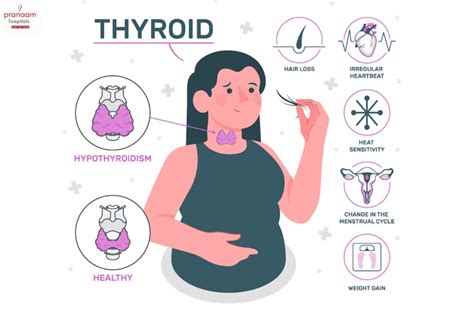 Thyroid Menstrual Cycle
