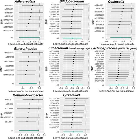 Leave One Out Plots For The Causal Association Between Gut Microbiota