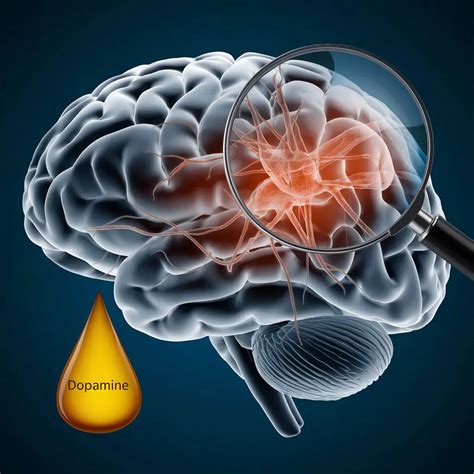 Dipendenze E Dopamina Segnali E Strategie Dna Express