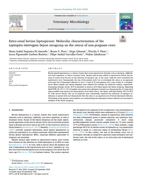 Extra Renal Bovine Leptospirosis Molecular Characterization Of The Pdf Gel Electrophoresis