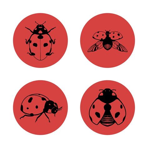 Premium Vector Lady Bug Collection