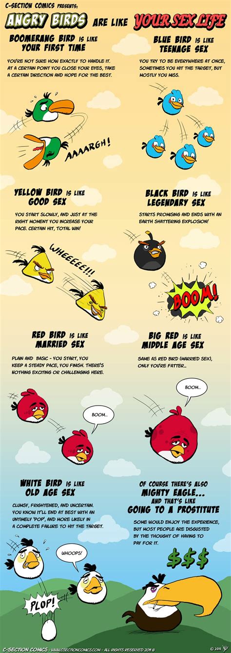 Angry Birds Represents Your Sex Life Funny Infographic Geeky Stuffs