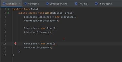 Inheritance Java Rintellijidea