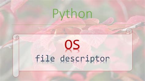 Python Modules 73 Os File Object And Descriptor Operations Working With Files Youtube