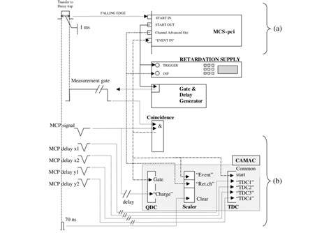 Daq Principle Scheme Of The Witch Experiment Two Branches Of The Download Scientific Diagram