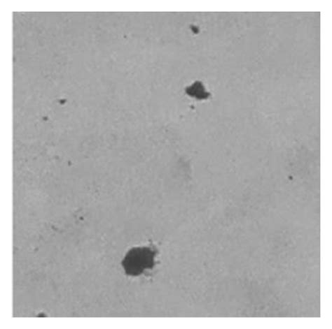 Concrete Surface Bughole Images Download Scientific Diagram